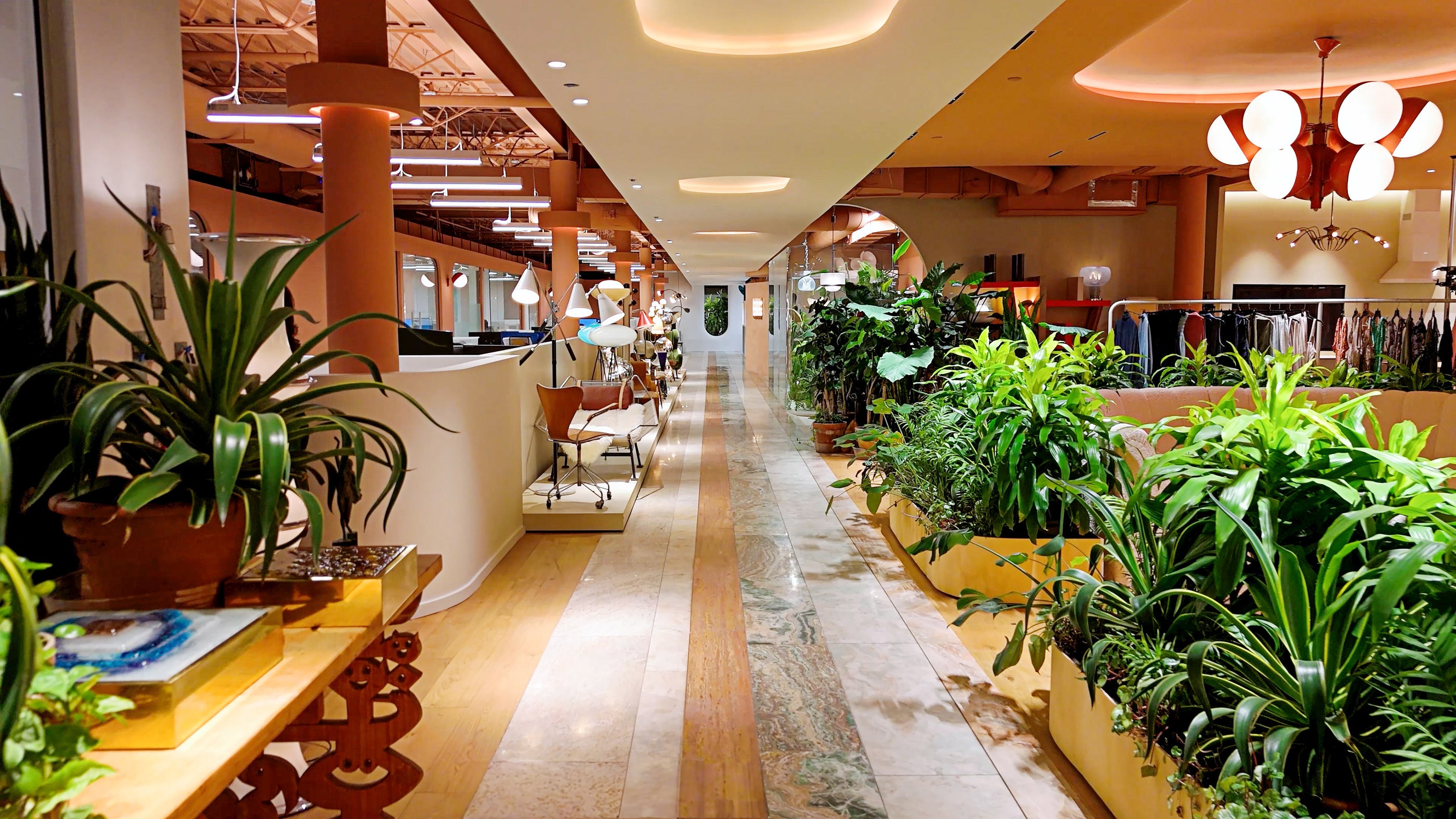 DEX clothing– Dex Clothing